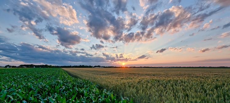 dia del sol – Agua.org.mx