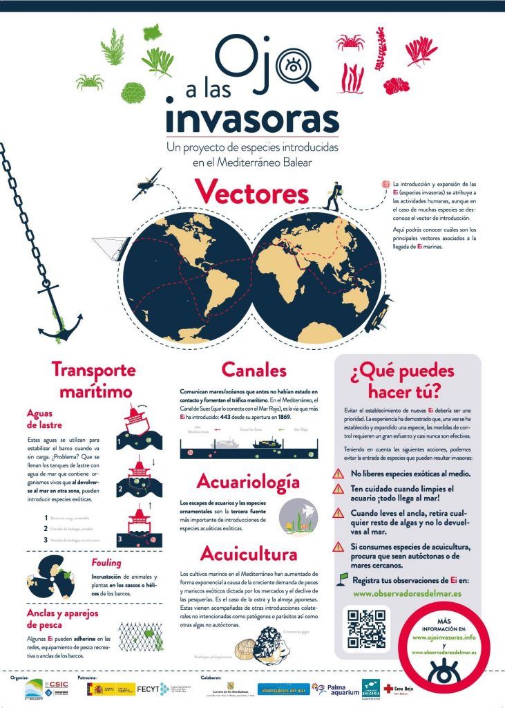 ojo-a-las-invasoras-infografia – Agua.org.mx