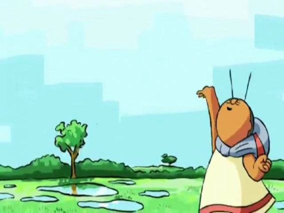 abuela-grillo – Agua.org.mx