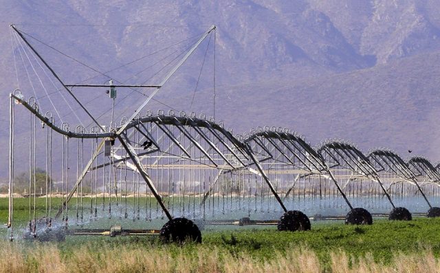 plan-mantendran-cultivos-algodon-mil – Agua.org.mx
