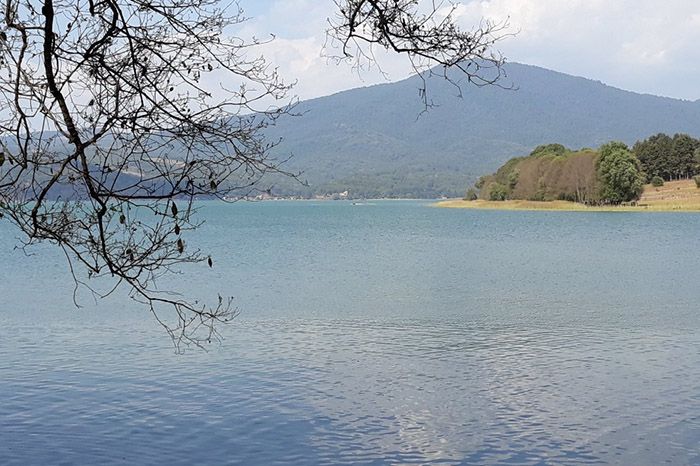 Michoacán: Limpiarán lagos y lagunas de envases de agroquímicos (La Voz ...