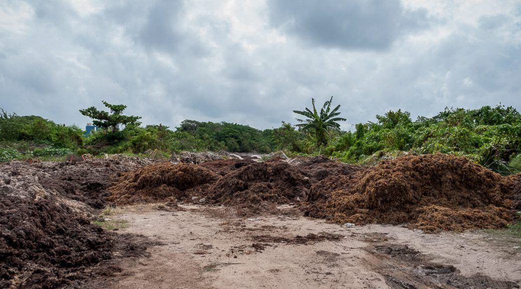lixiviados – Agua.org.mx
