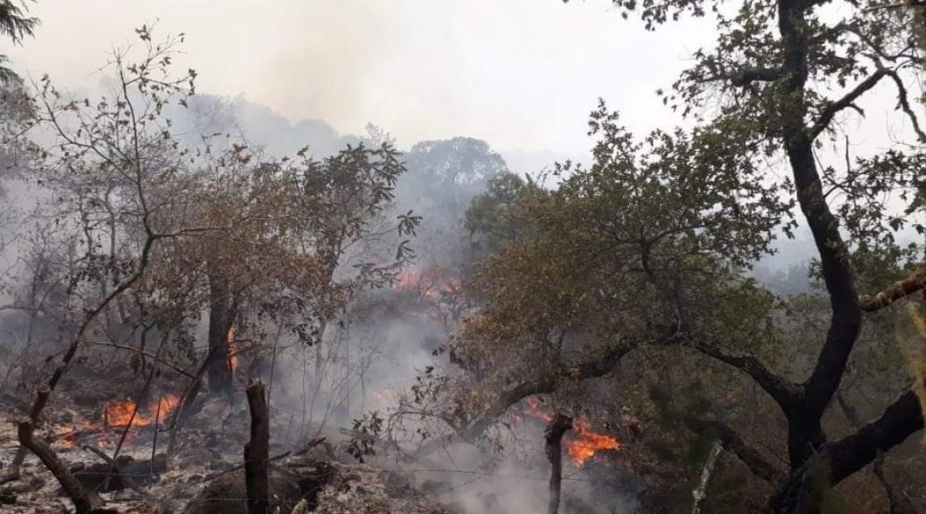 azolve – Agua.org.mx