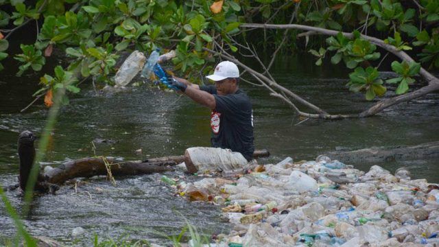 Plastico Rio Mx