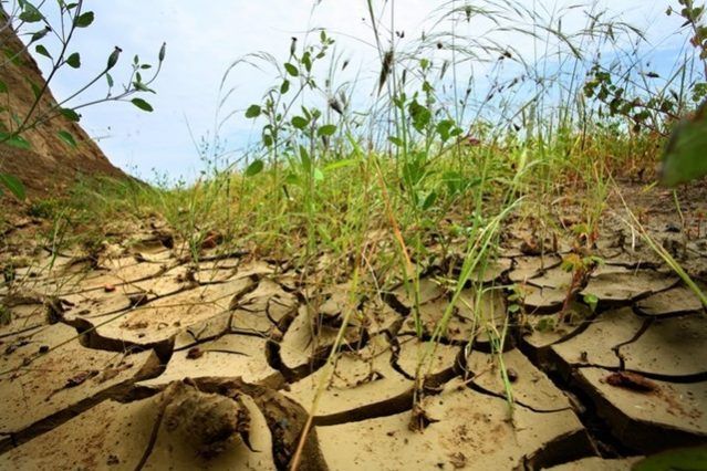 desertificacion – Agua.org.mx