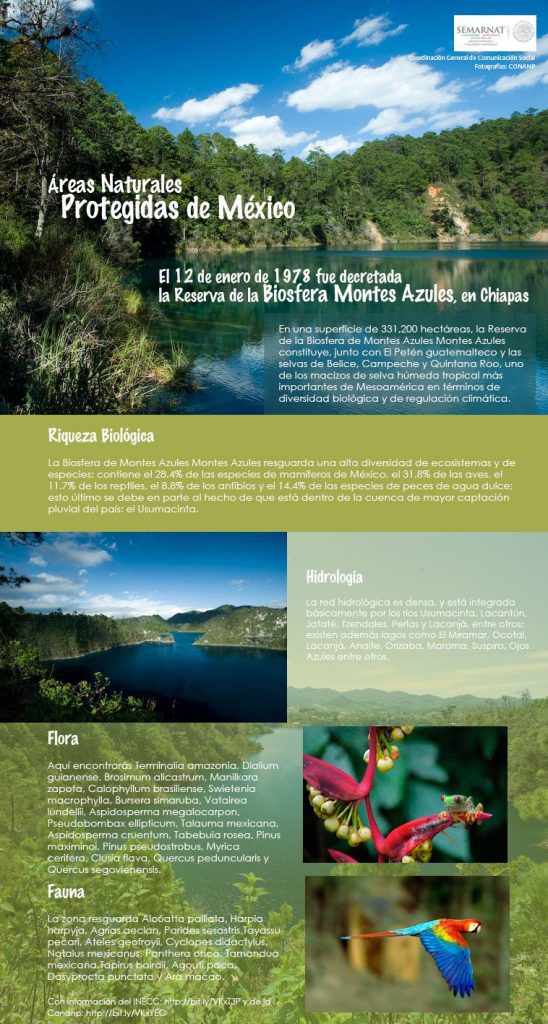 Reserva Biosfera Montes Azules – Agua.org.mx