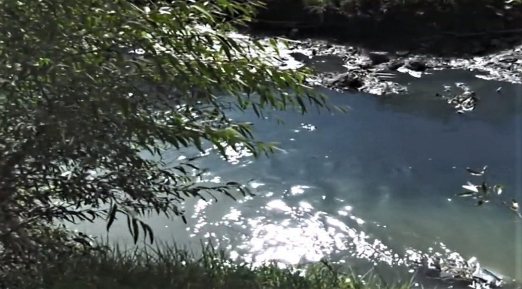 río Atoyac – Agua.org.mx