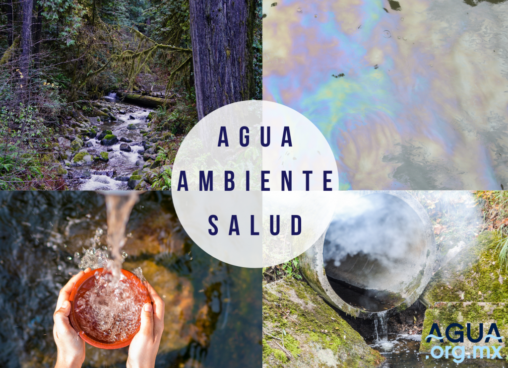 Agua, ambiente y salud – Agua.org.mx