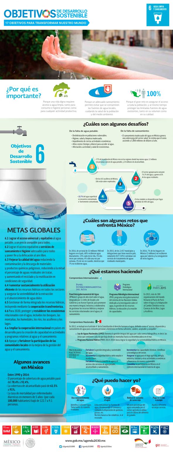 Ods 6 Mx