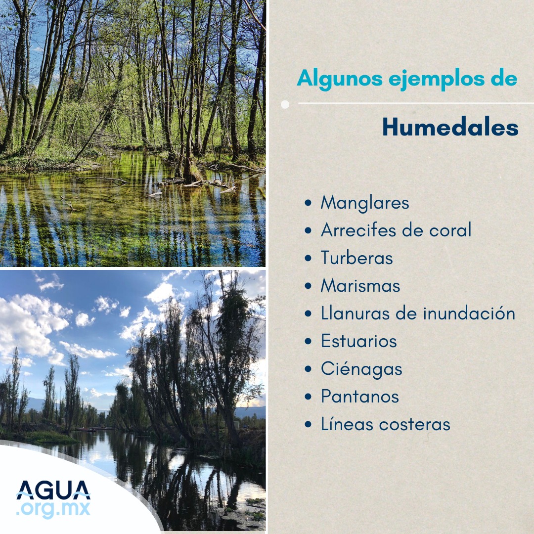 El papel de los humedales en los medios de vida de las comunidades ...