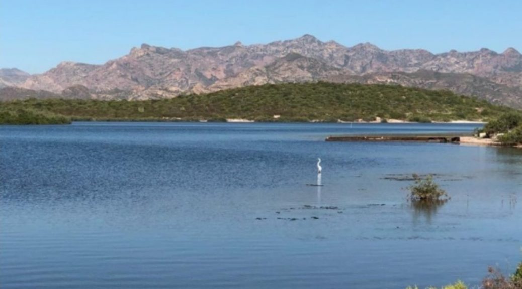 deterioro ambiental – Agua.org.mx