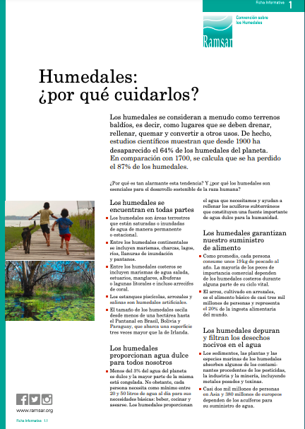 Humedales: ¿por qué cuidarlos? (Ficha Informativa)- Ramsar – Agua.org.mx