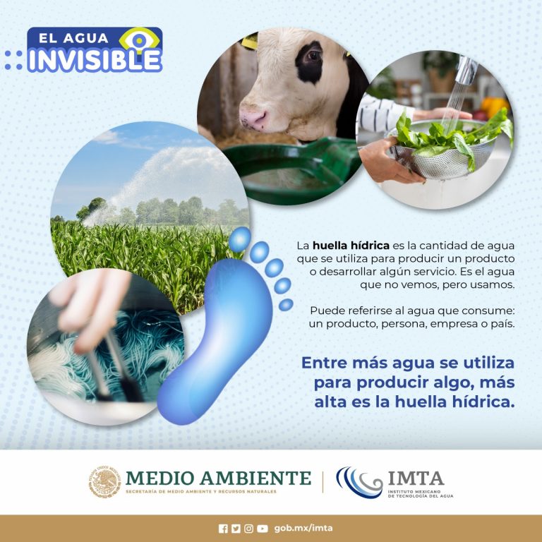 Huella hídrica – Agua.org.mx