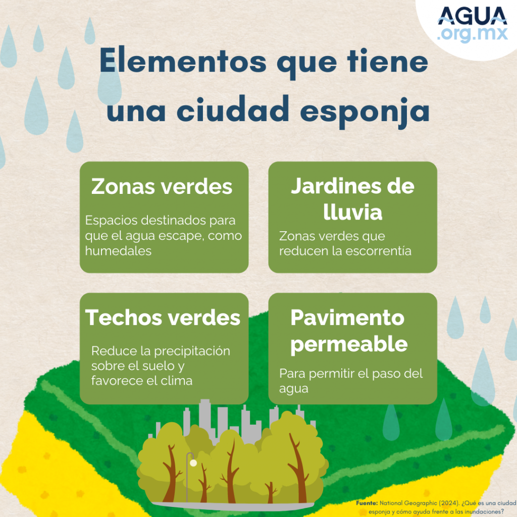 Ciudades esponja: Soluciones sostenibles para la gestión del agua – Agua.org.mx