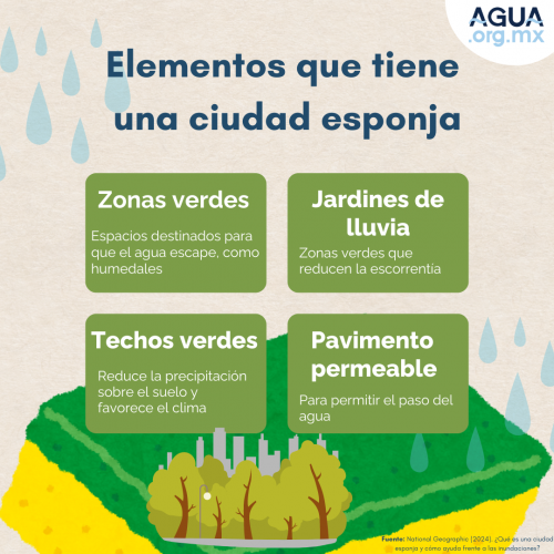 Ciudades esponja: Soluciones sostenibles para la gestión del agua – Agua.org.mx