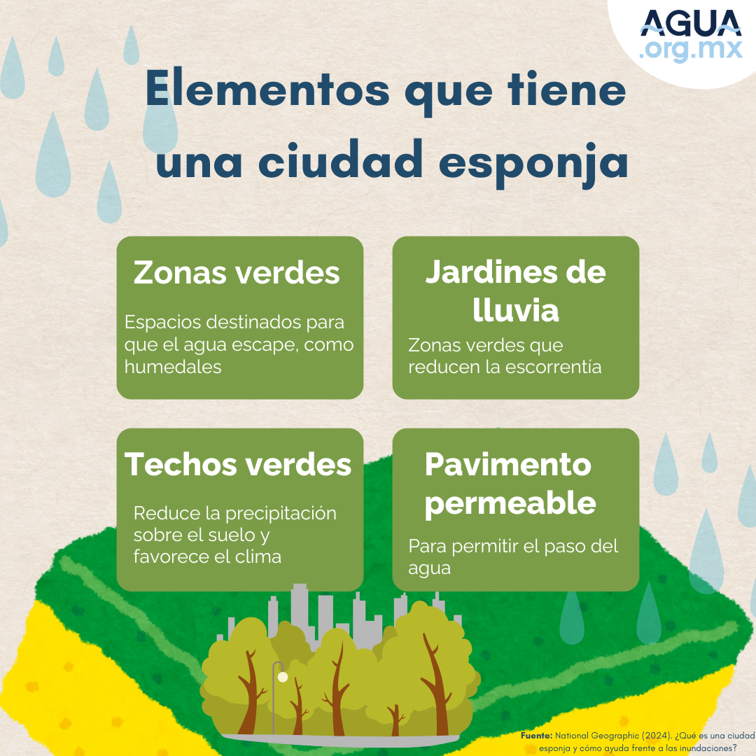 Ciudades esponja: Soluciones sostenibles para la gestión del agua – Agua.org.mx