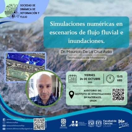 Seminario - Simulaciones numéricas en escenarios de flujo fluvial e ...