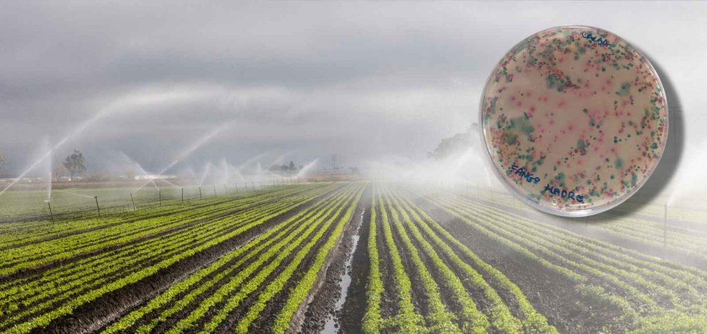 el agua el eslabón – Agua.org.mx